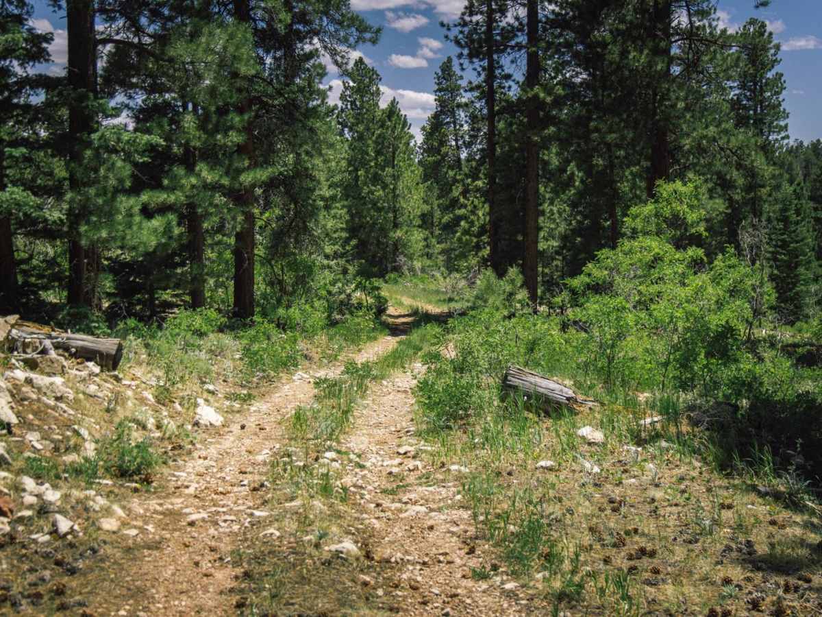 610q | Off-Road Trail Maps, Difficulty, Trail Status | onX Offroad