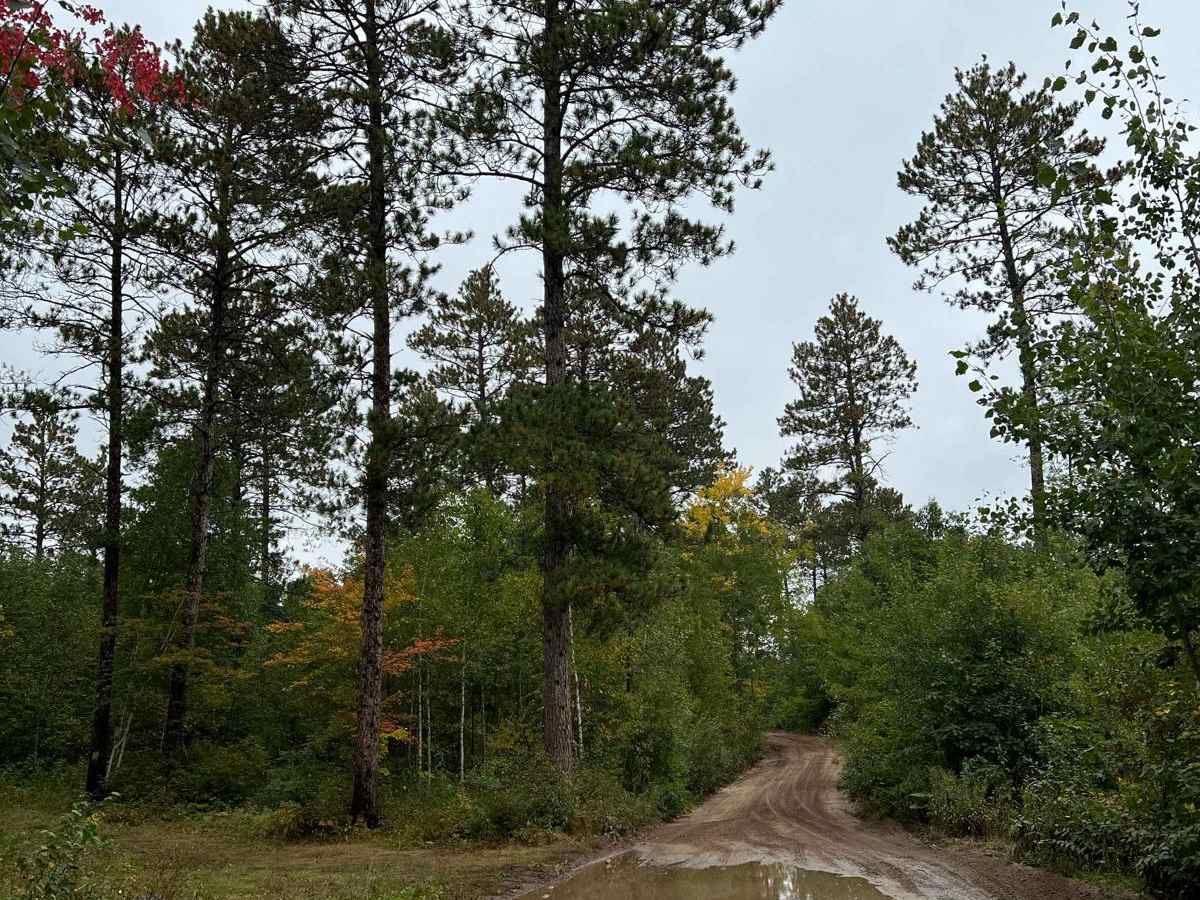 Bull Run Trail Extension | Off-Road Trail Maps, Difficulty, Trail ...