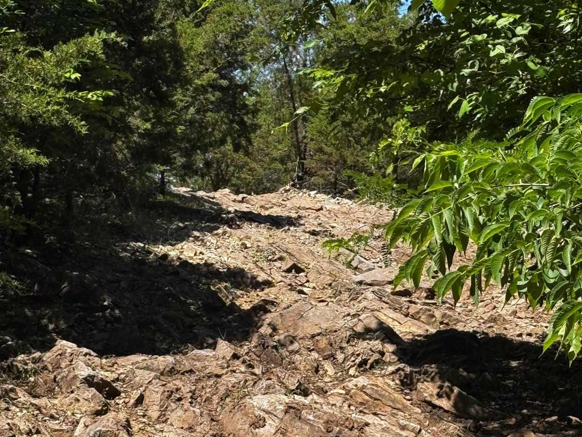 Loretta Lane | Off-Road Trail Maps, Difficulty, Trail Status | onX Offroad