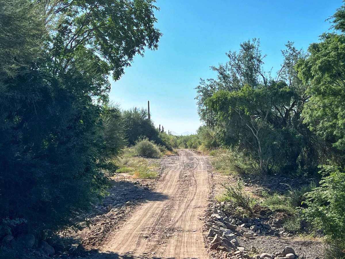 Punta Arena | Off-Road Trail Maps, Difficulty, Trail Status | onX Offroad