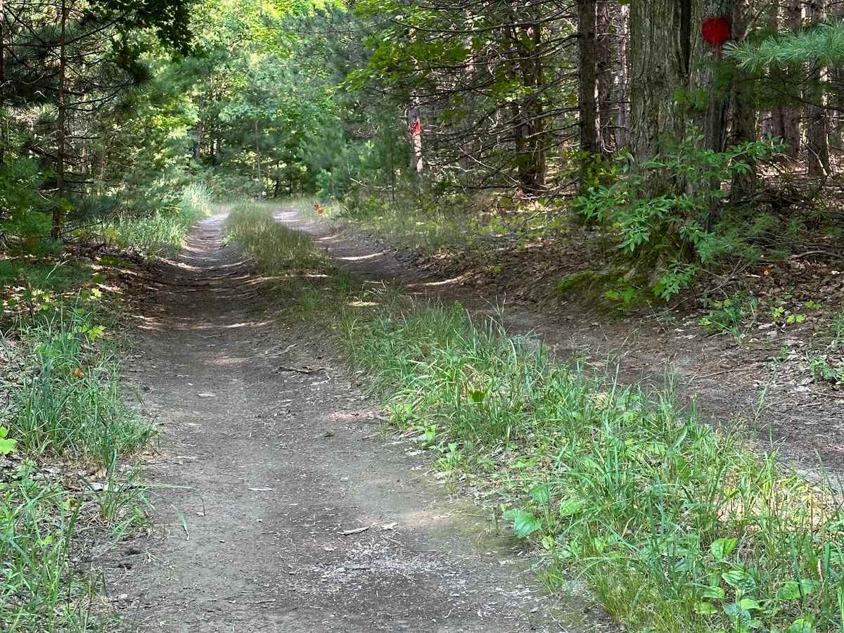 Beeman Road Spur | Off-Road Trail Maps, Difficulty, Trail Status | onX ...