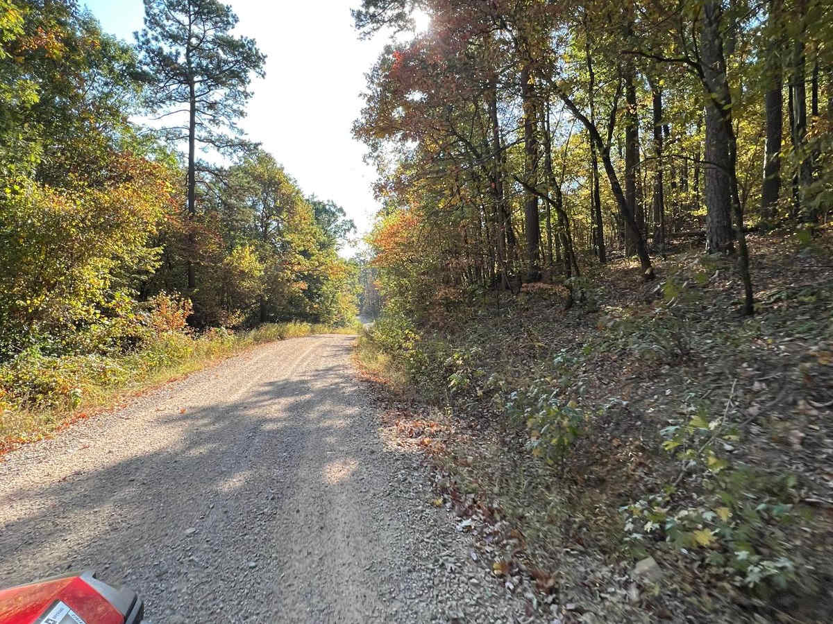 Polk Road 619 West Gap 277 | Off-Road Trail Maps, Difficulty, Trail ...