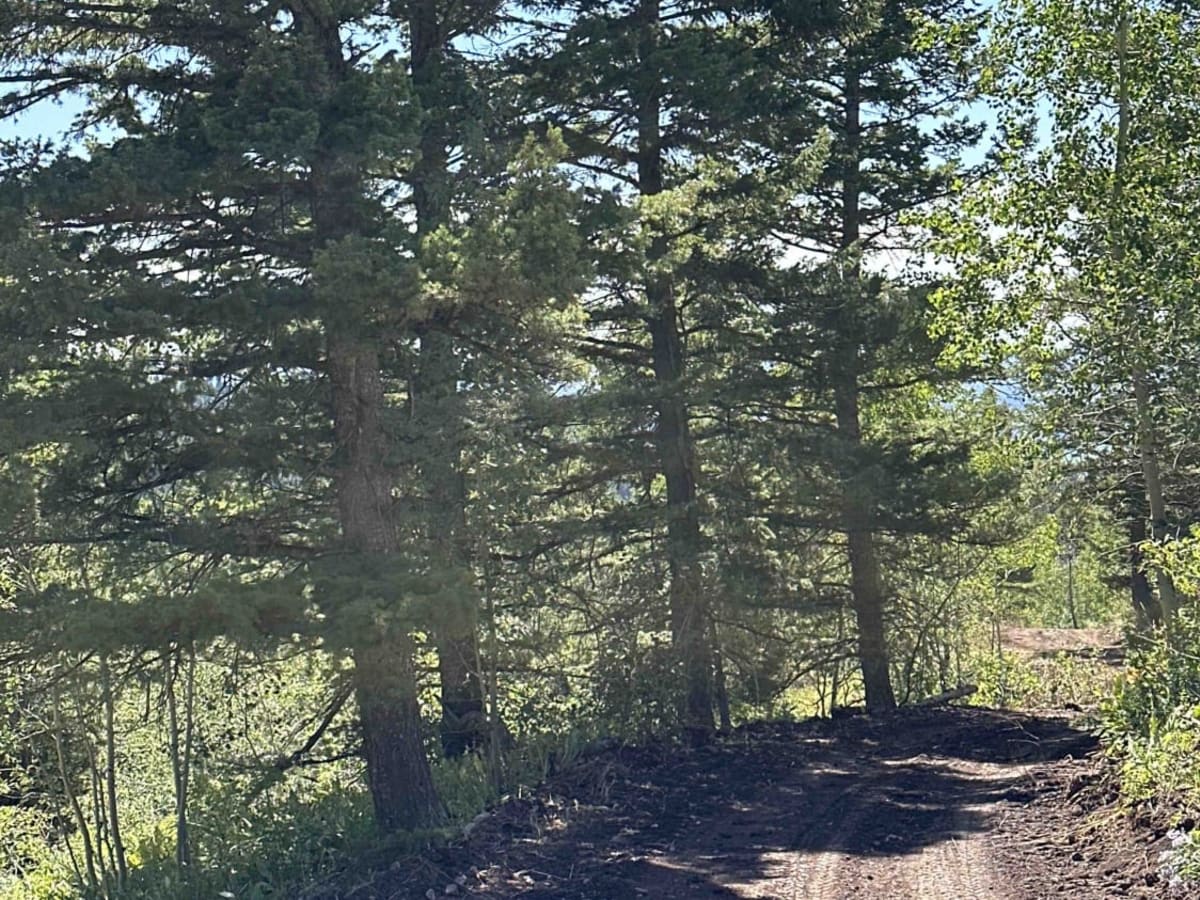 Willow Creek to Caribou Mountain FS#50018 | Off-Road Trail Maps ...