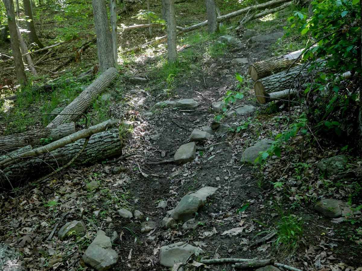 Drop Zone | Off-Road Trail Maps, Difficulty, Trail Status | onX Offroad