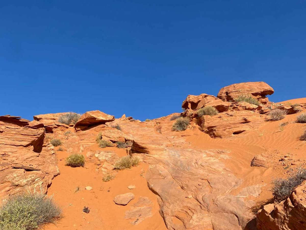 Turtle 2 | Off-Road Trail Maps, Difficulty, Trail Status | onX Offroad