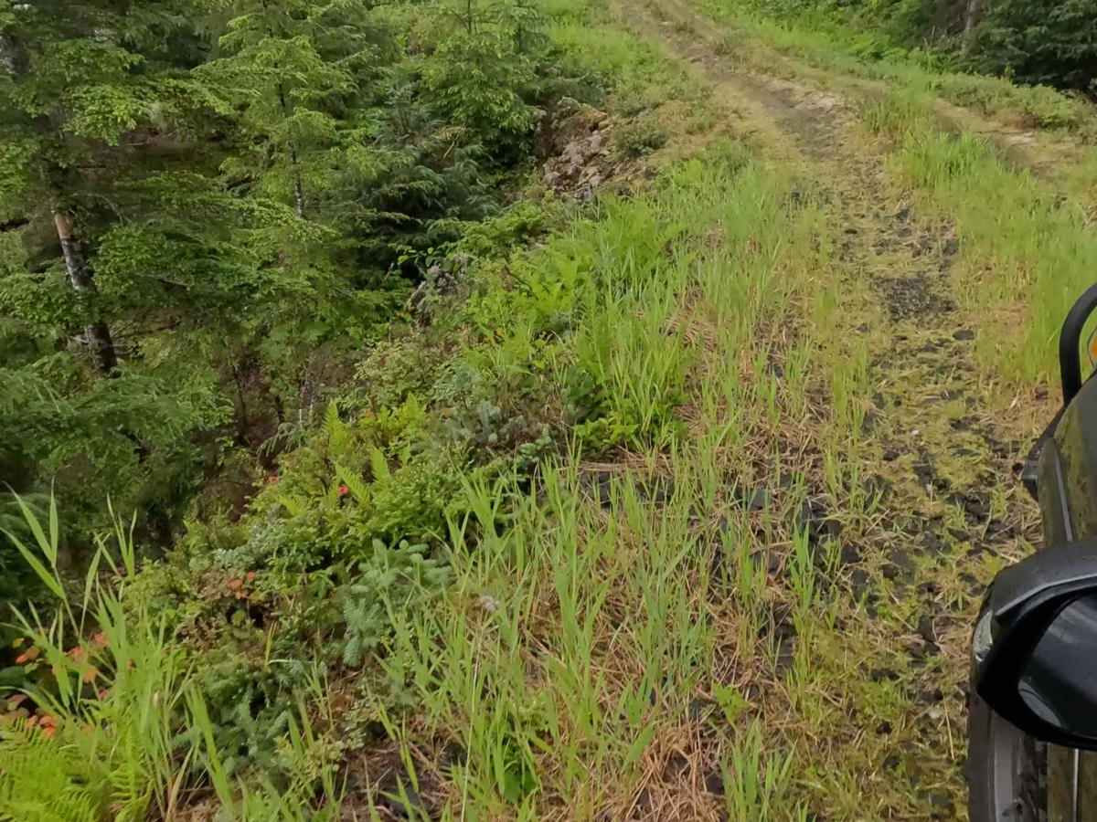 West Fork Ohmer Creek 6246 | Off-Road Trail Maps, Difficulty, Trail ...