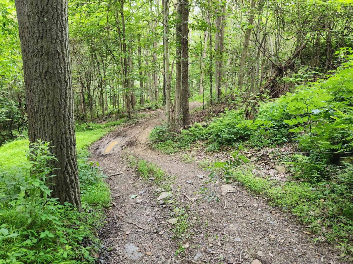 Trail 4B - Rock Run Recreation Area | Off-Road Trail Maps, Difficulty ...