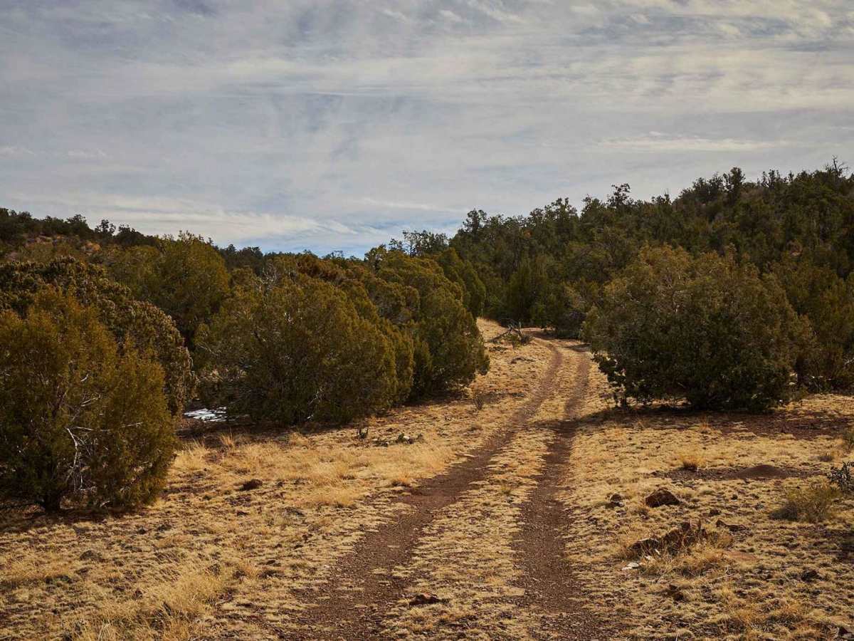 Ivan East | Off-Road Trail Maps, Difficulty, Trail Status | onX Offroad