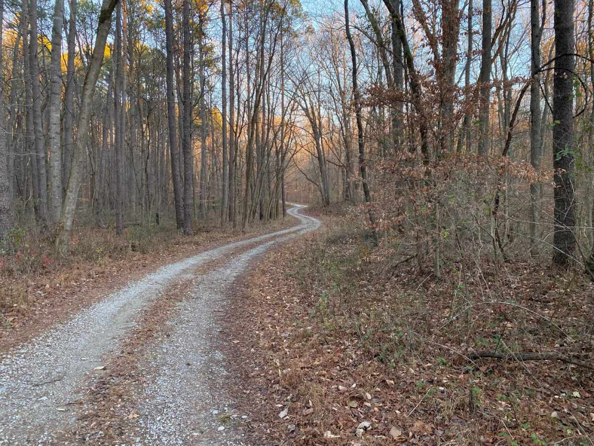 Grabber SFR 264 | Off-Road Trail Maps, Difficulty, Trail Status | onX ...