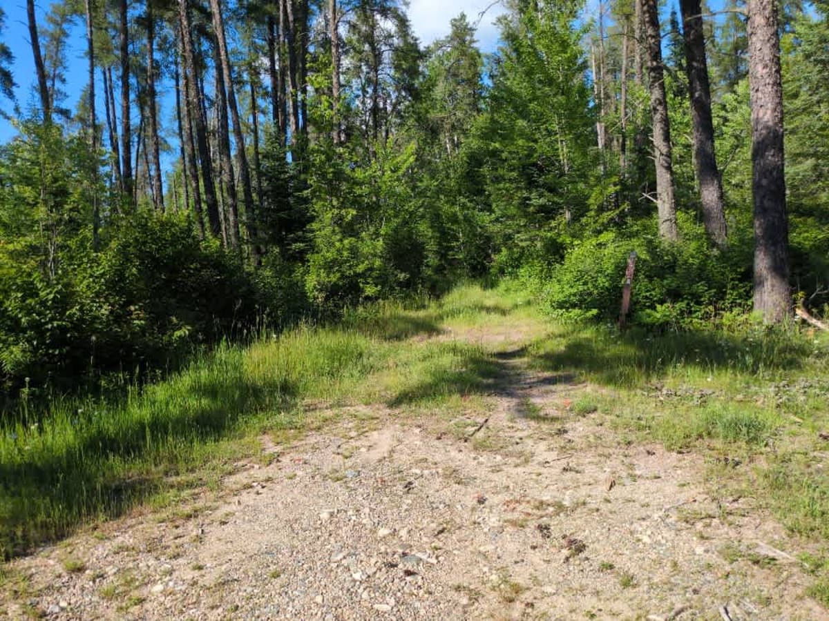 FS 272 | Off-Road Trail Maps, Difficulty, Trail Status | onX Offroad