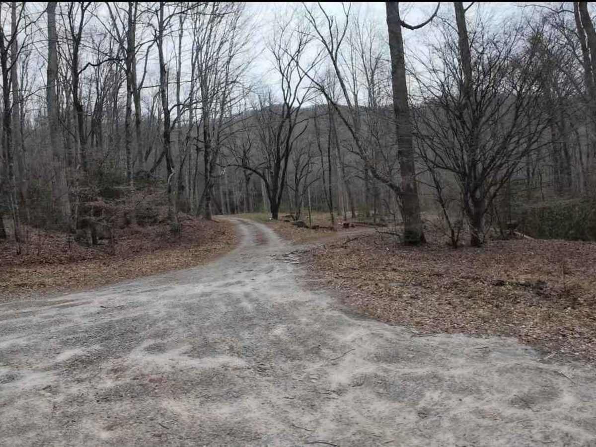 Tuni Gap Road - FS 440 | Off-Road Trail Maps, Difficulty, Trail Status ...