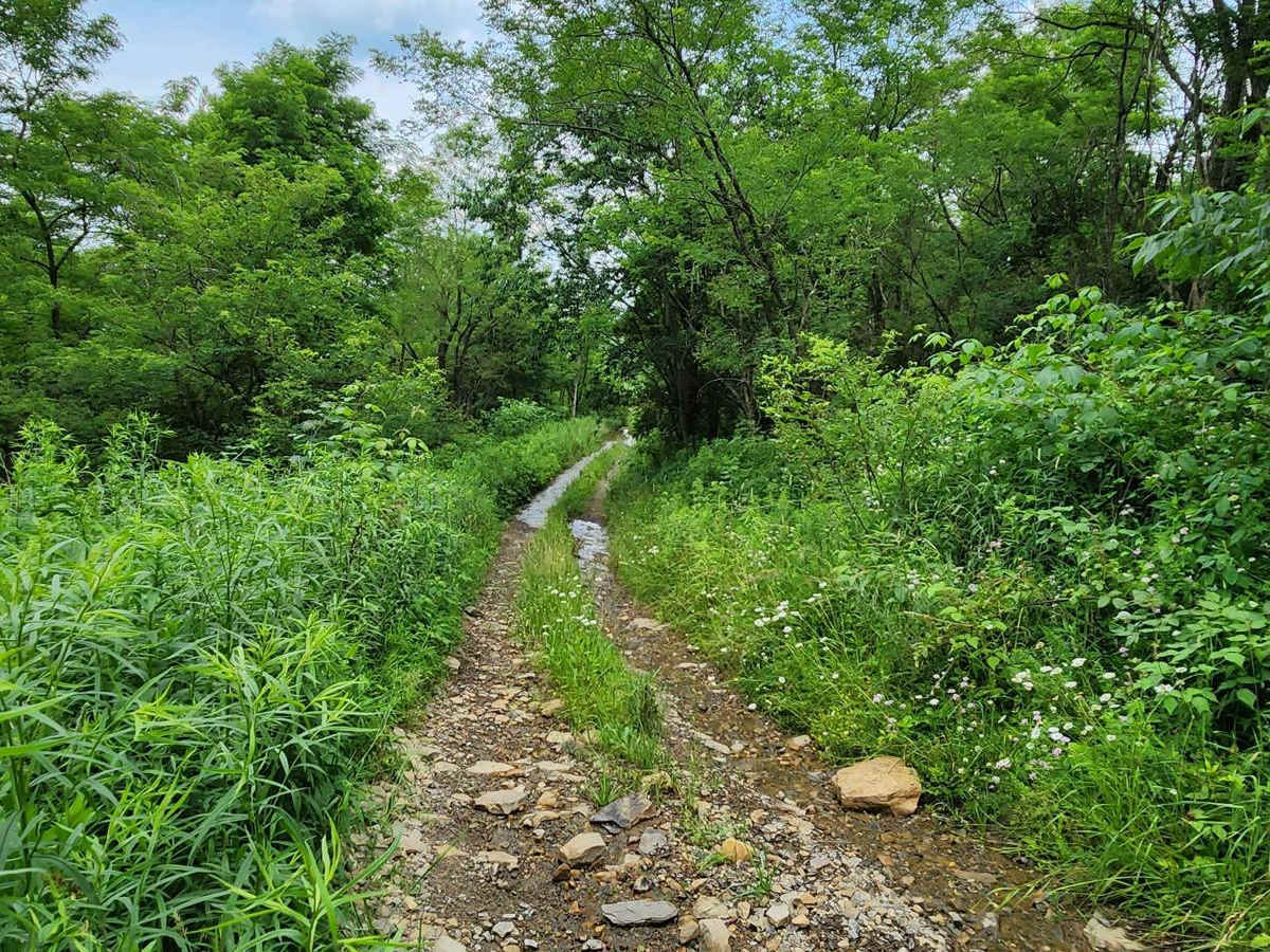 Trail 8E - Rock Run Recreation Area | Off-Road Trail Maps, Difficulty ...
