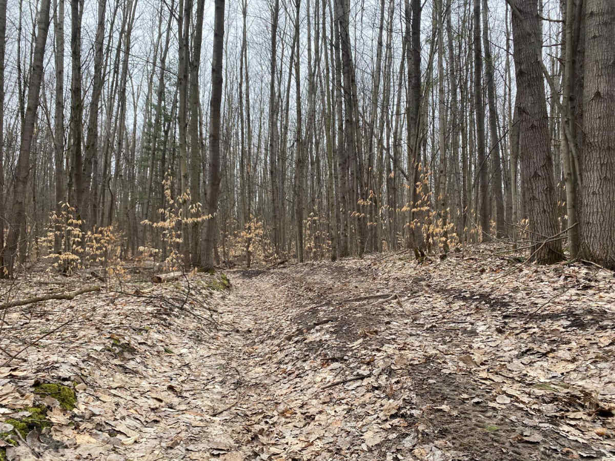 Tight Quarters Trail- FS 5067 | Off-Road Trail Maps, Difficulty, Trail ...