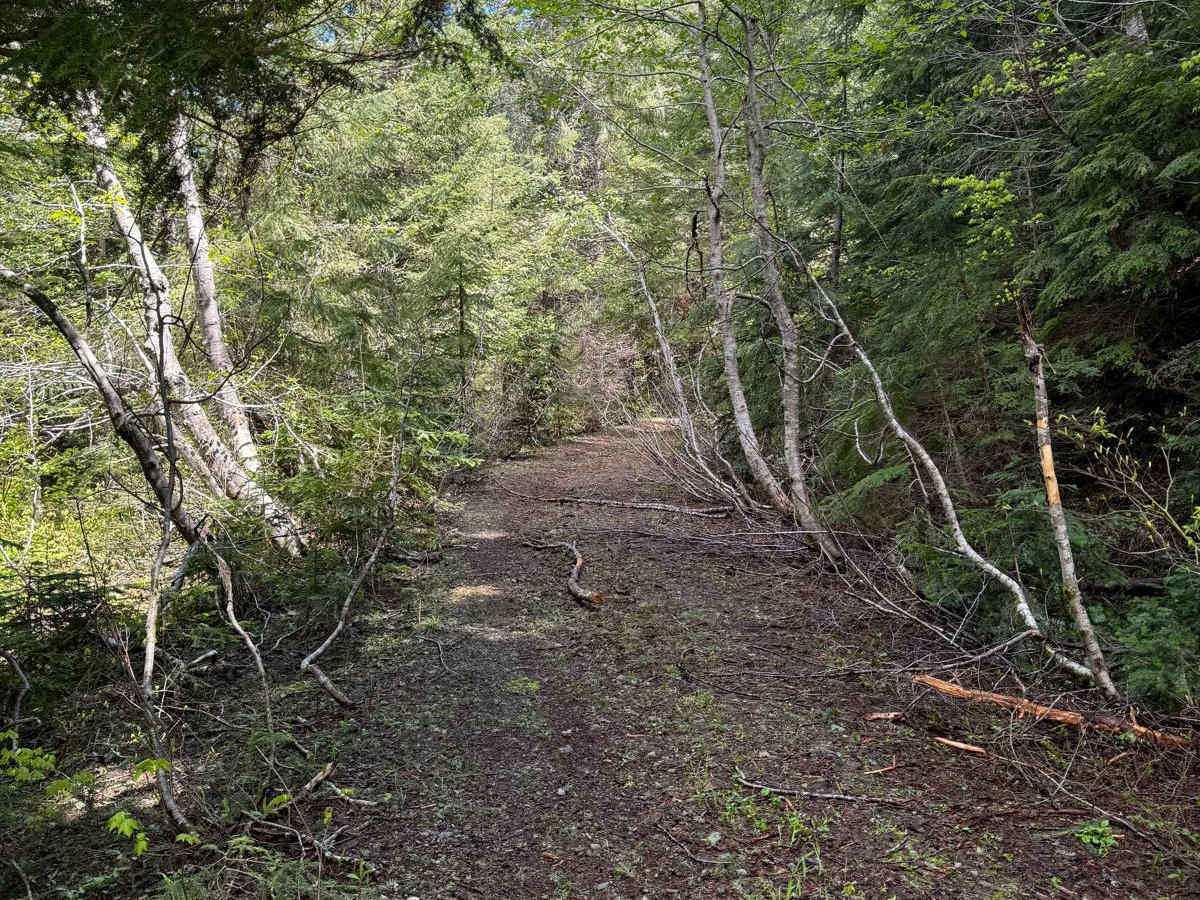 Tatoosh | Off-Road Trail Maps, Difficulty, Trail Status | onX Offroad