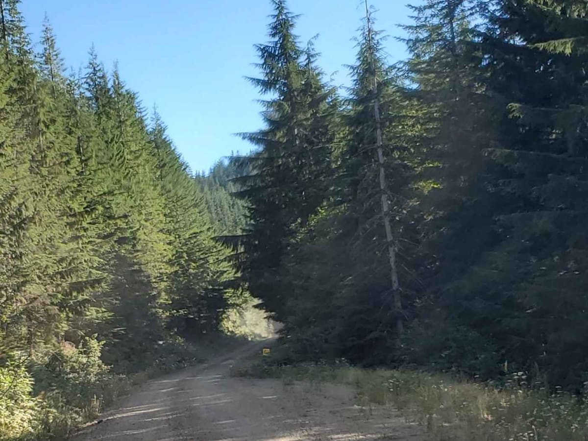 The Great Overlook Adventure Path | Off-Road Trail Maps, Difficulty ...