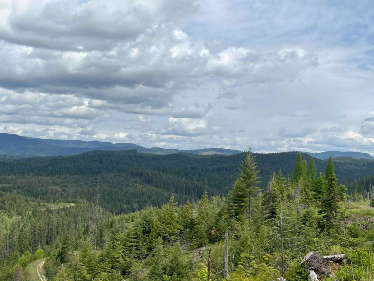 Forest Service Road 3320E East | Off-Road Trail Maps, Difficulty, Trail ...