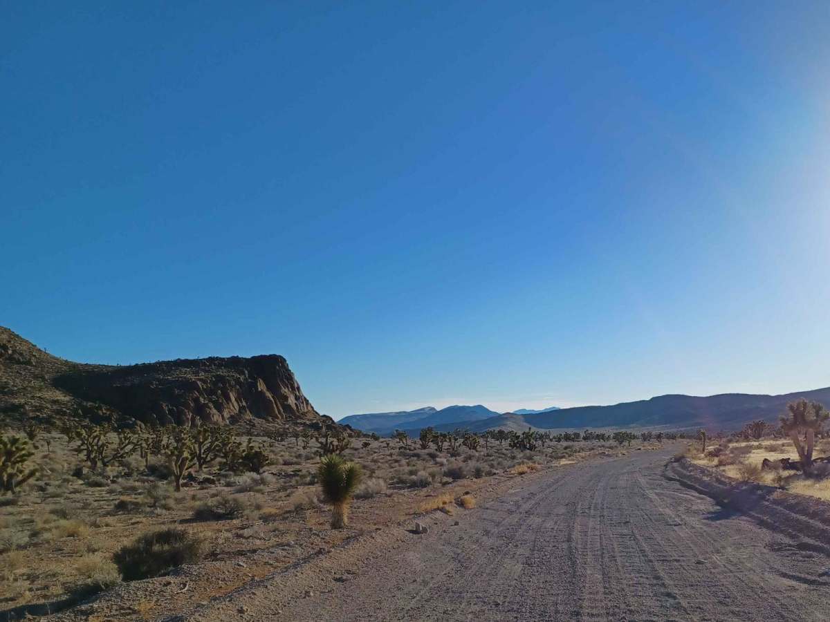 Cyanide Road | Off-Road Trail Maps, Difficulty, Trail Status | onX Offroad