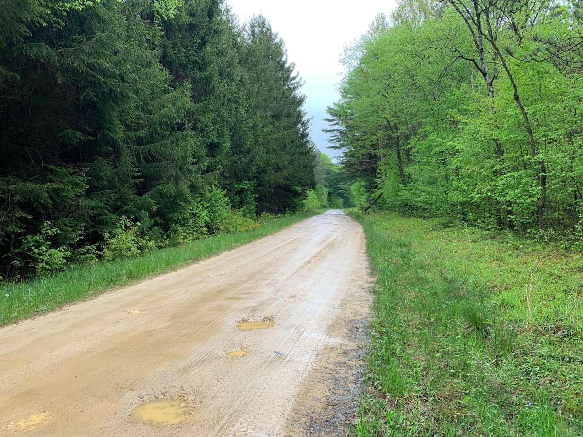 FR 297/237 Pine Run/Red Mill Campground | Off-Road Trail Maps ...