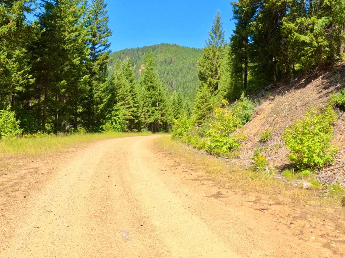 Oregon Creek | Off-Road Trail Maps, Difficulty, Trail Status | onX Offroad