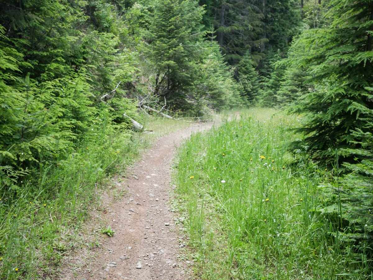 Canfield Mountain - Trail A (East) | Off-Road Trail Maps, Difficulty ...