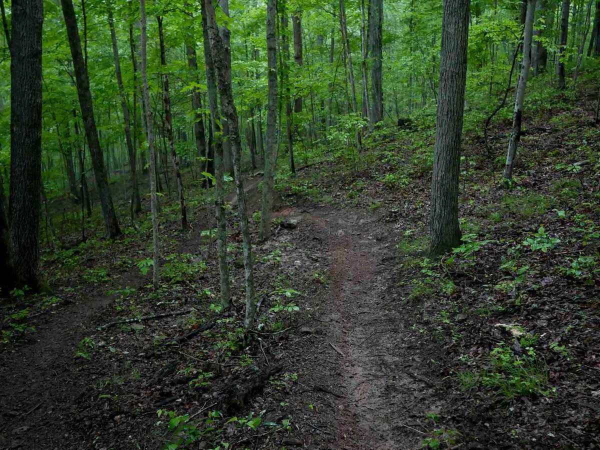 T42 | Off-Road Trail Maps, Difficulty, Trail Status | onX Offroad