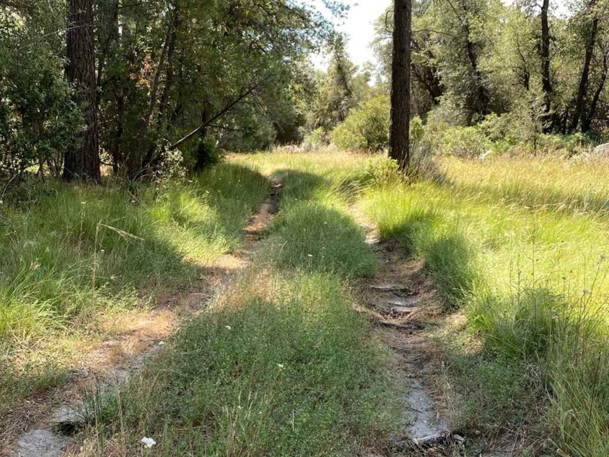 Old Road to Rancho Venados | Off-Road Trail Maps, Difficulty, Trail ...