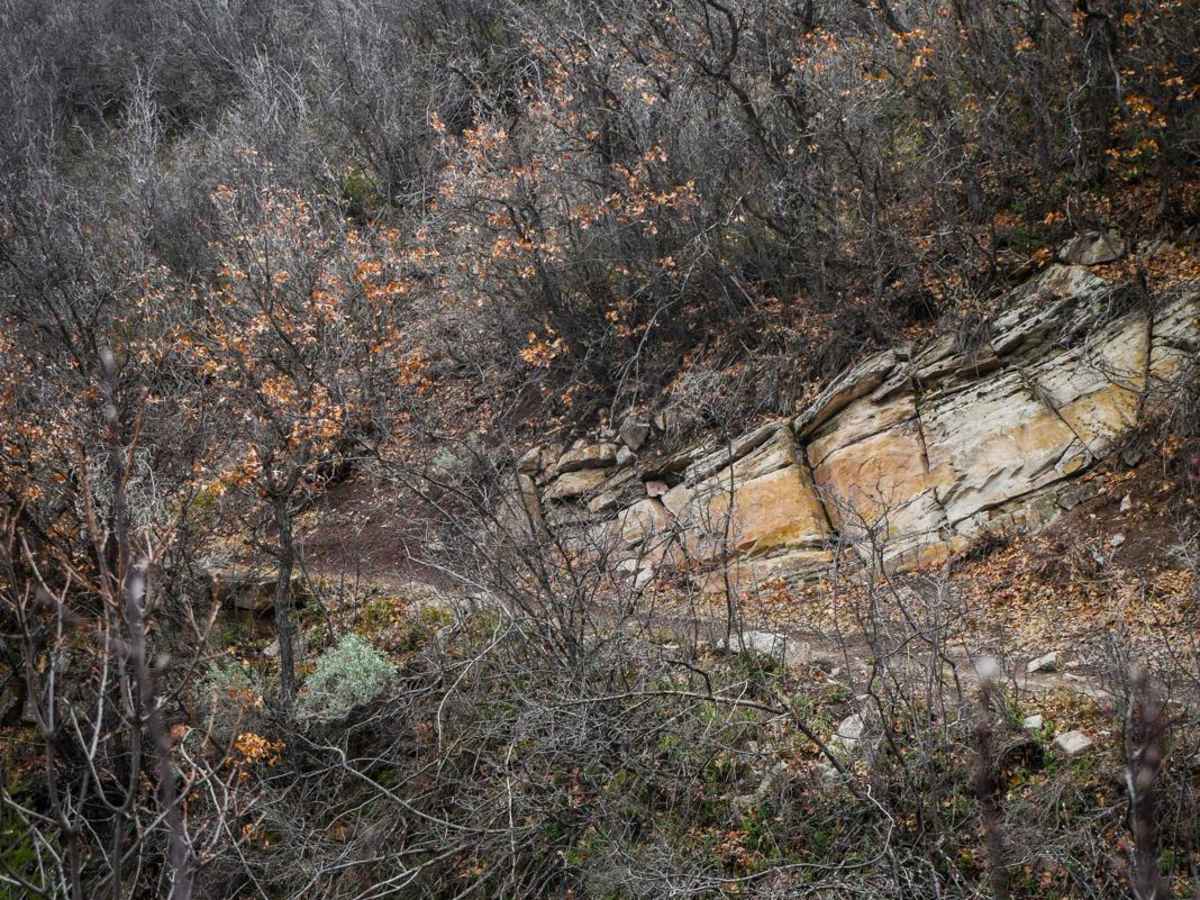 Cat Walk | Off-Road Trail Maps, Difficulty, Trail Status | onX Offroad