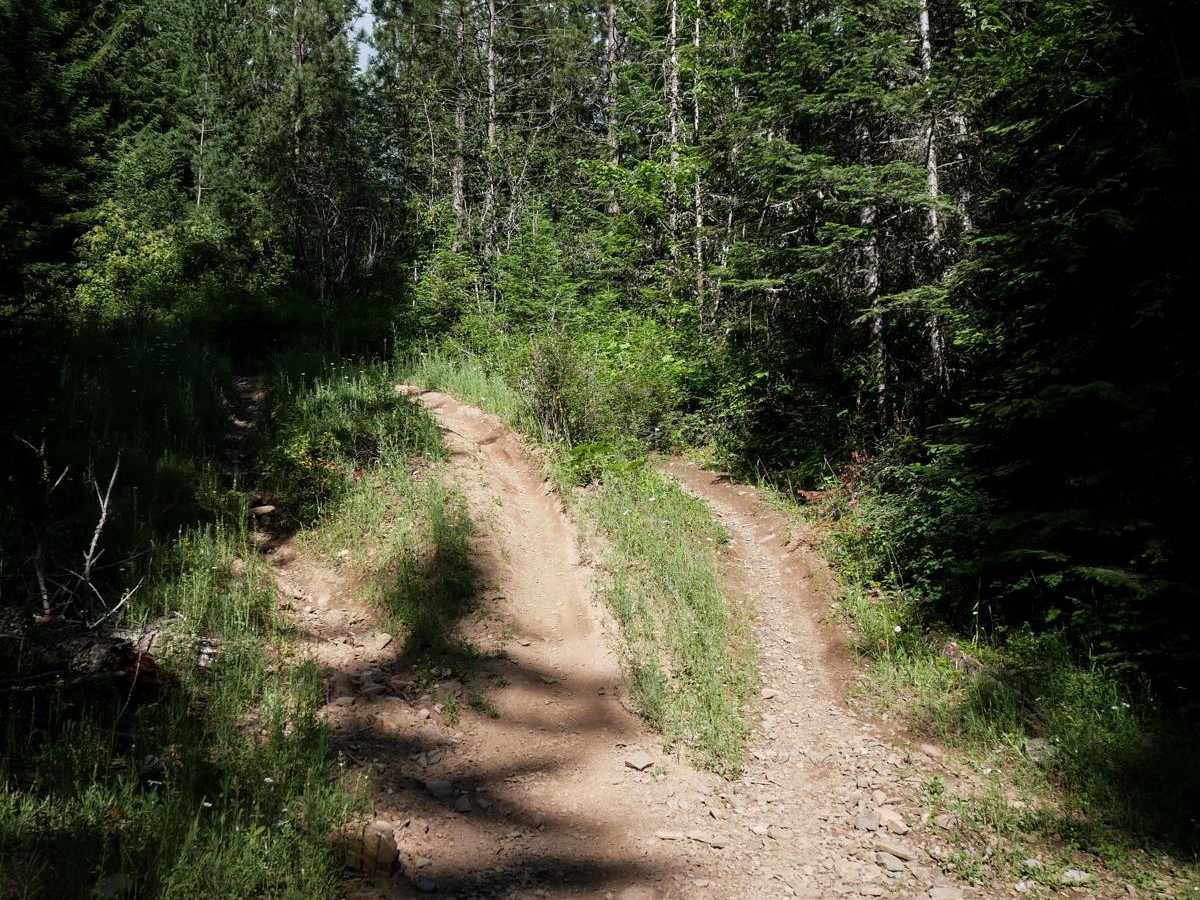 Canfield Mountain- Trail 9 | Off-Road Trail Maps, Difficulty, Trail ...