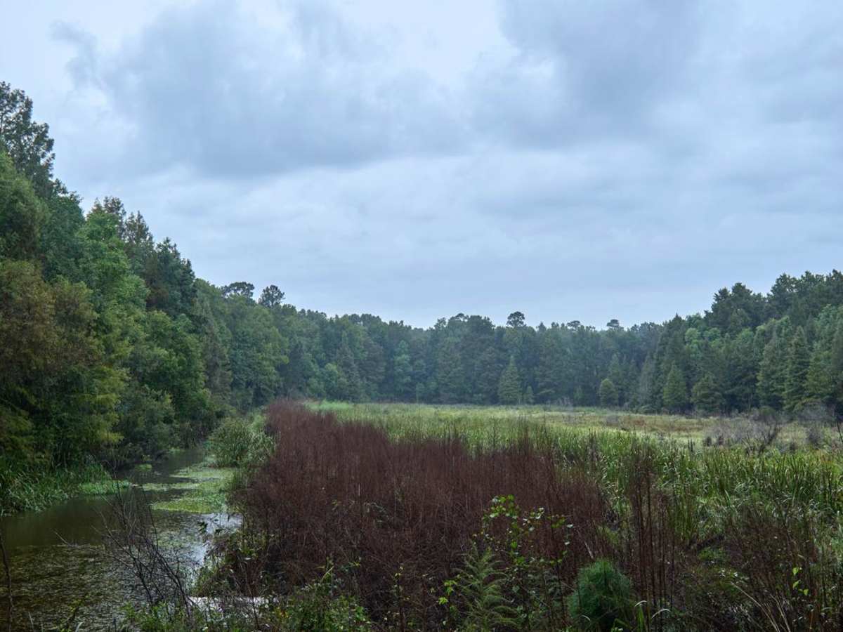 Bonneau Ferry WMA - Waterfowl Loop | Off-Road Trail Maps, Difficulty ...