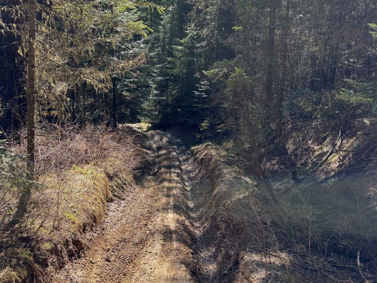 East Fork Gold Creek Trail 763 | Off-Road Trail Maps, Difficulty, Trail ...