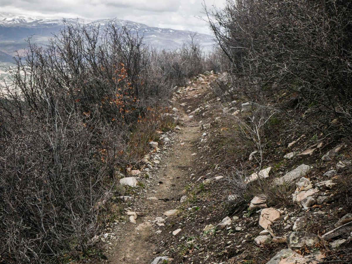 Cat Walk | Off-Road Trail Maps, Difficulty, Trail Status | onX Offroad