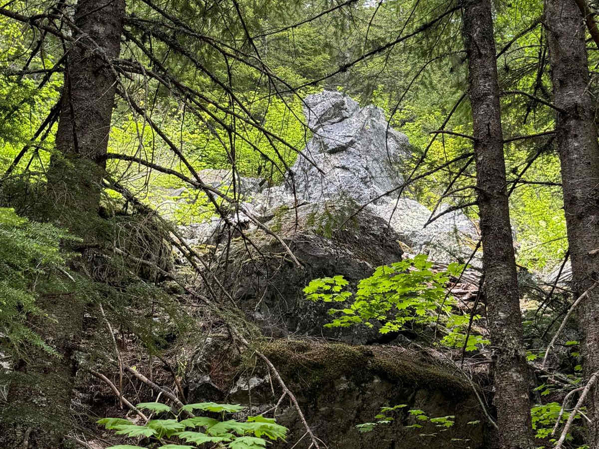 Saturday Rock Connection Trail | Off-Road Trail Maps, Difficulty, Trail ...