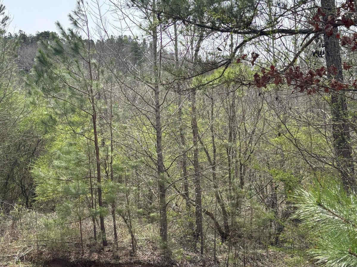 414 | Off-Road Trail Maps, Difficulty, Trail Status | onX Offroad