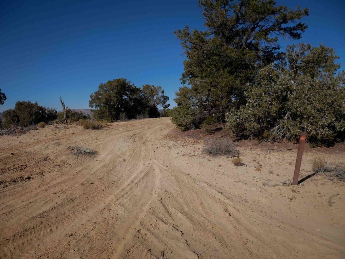 ATV Rim | Off-Road Trail Maps, Difficulty, Trail Status | onX Offroad