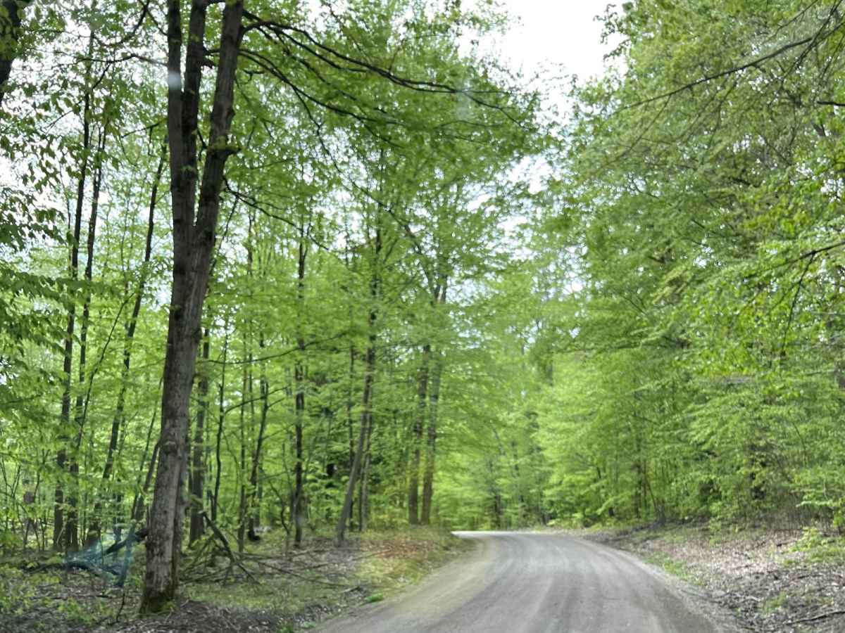 FR 297/237 Pine Run/Red Mill Campground | Off-Road Trail Maps ...