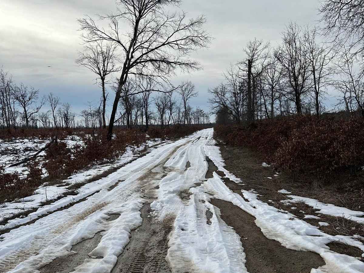 FS 4416 | Off-Road Trail Maps, Difficulty, Trail Status | onX Offroad