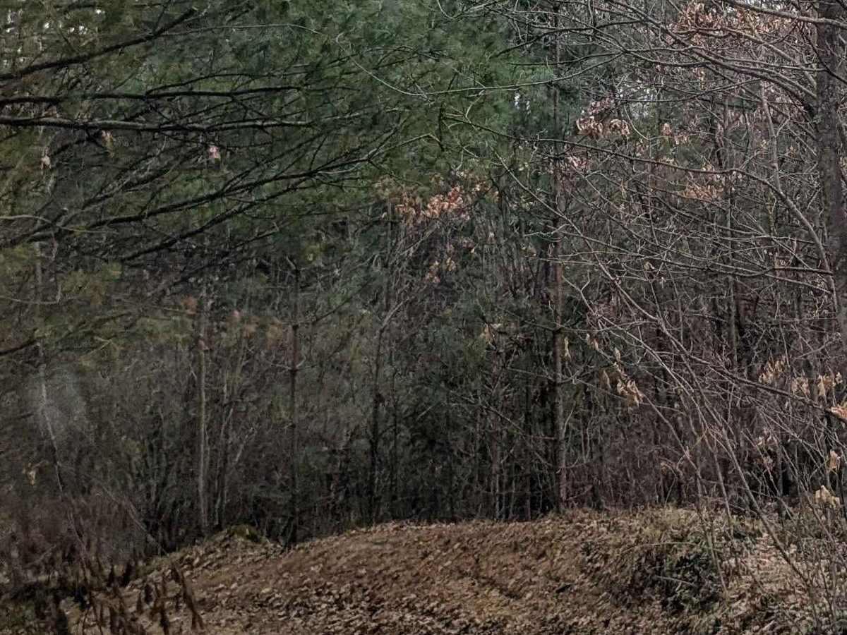 Dunham Lake Trail | Off-Road Trail Maps, Difficulty, Trail Status | onX ...