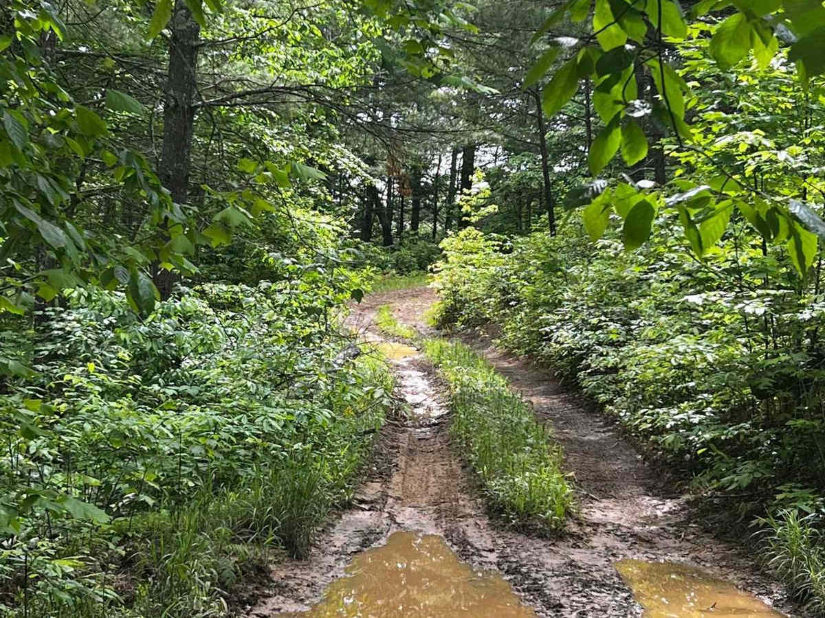 Irishman Branch | Off-Road Trail Maps, Difficulty, Trail Status | onX ...