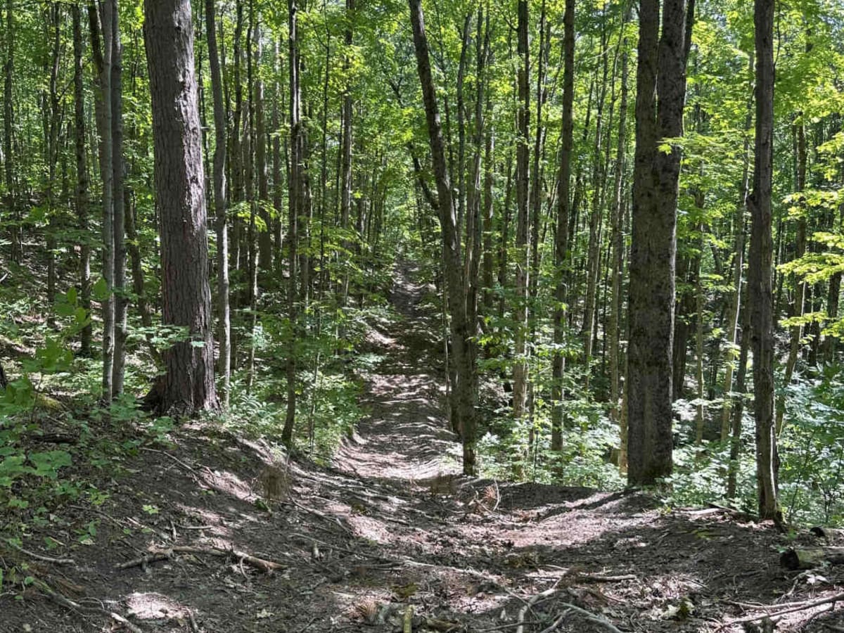 Roller Coaster | Off-Road Trail Maps, Difficulty, Trail Status | onX ...