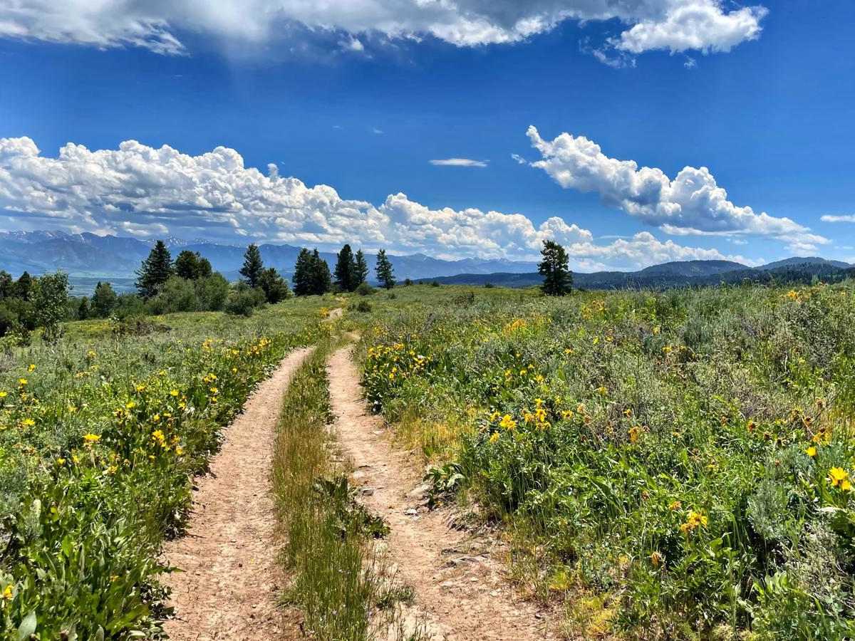 Old Man Ridge | Off-Road Trail Maps, Difficulty, Trail Status | onX Offroad