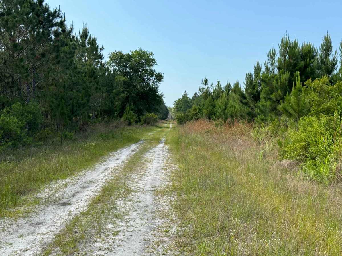 Grove Park WMA West Trail | Off-Road Trail Maps, Difficulty, Trail ...