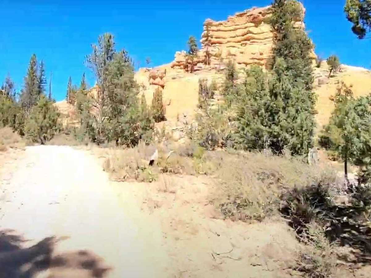 Barney Cove ATV Trail-NPS33014 | Off-Road Trail Maps, Difficulty, Trail ...