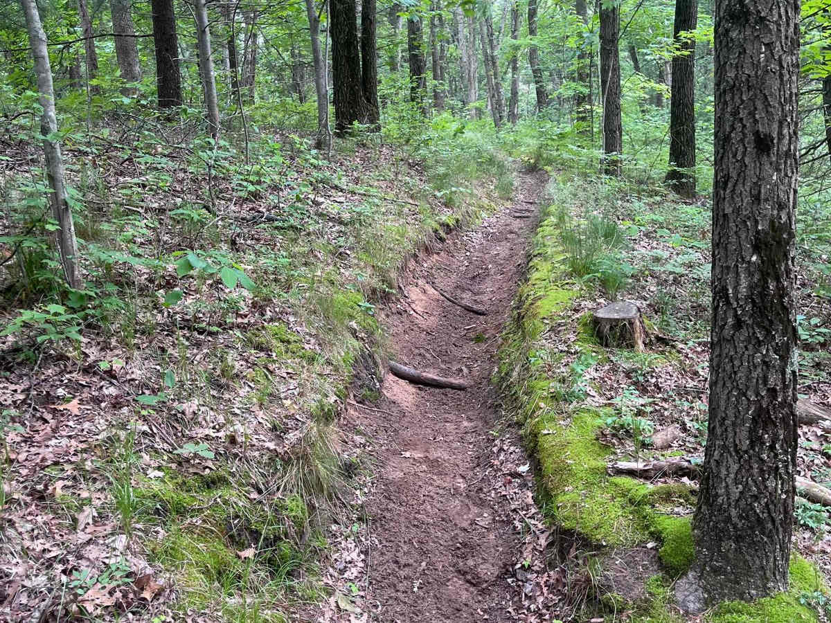 Holton Loop Motorcycle Trail South | Off-Road Trail Maps, Difficulty ...