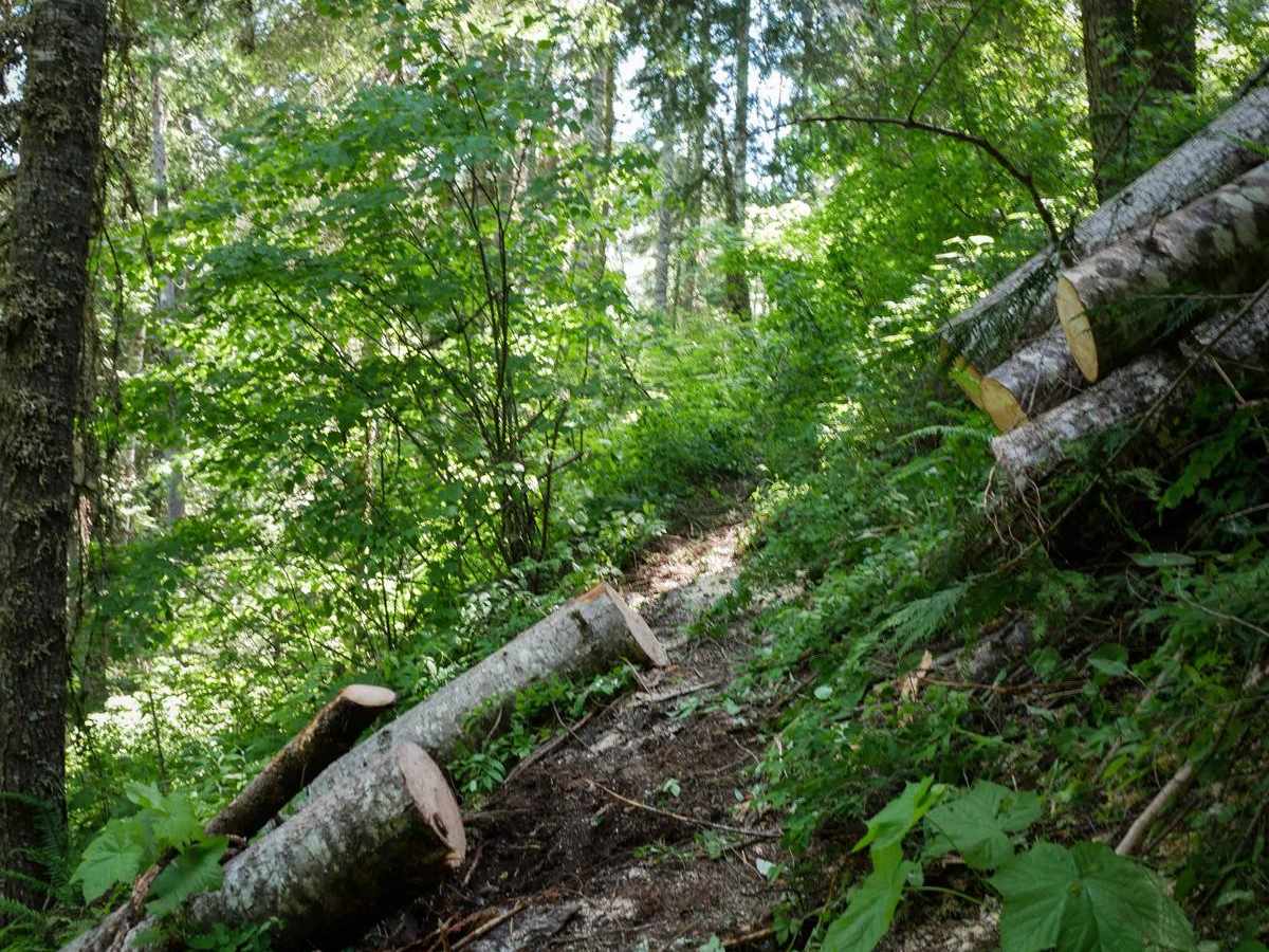Cabin Point | Off-Road Trail Maps, Difficulty, Trail Status | onX Offroad