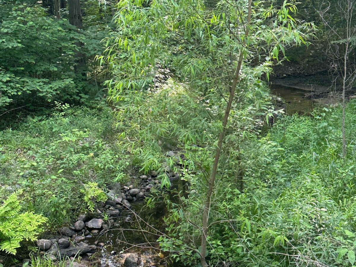 Betsie Valley Bypass/391 | Off-Road Trail Maps, Difficulty, Trail ...