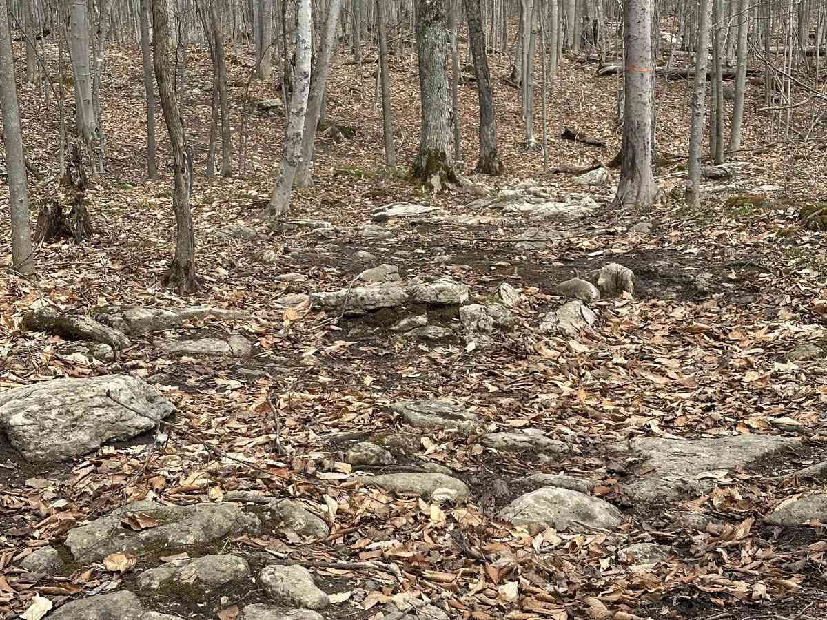 South Loop | Off-Road Trail Maps, Difficulty, Trail Status | onX Offroad
