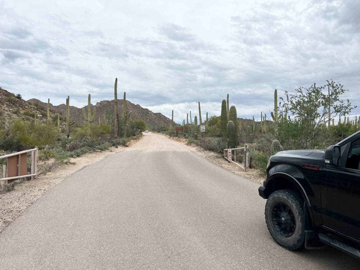 Bajada Loop, Saguaro NP | Off-Road Trail Maps, Difficulty, Trail Status ...