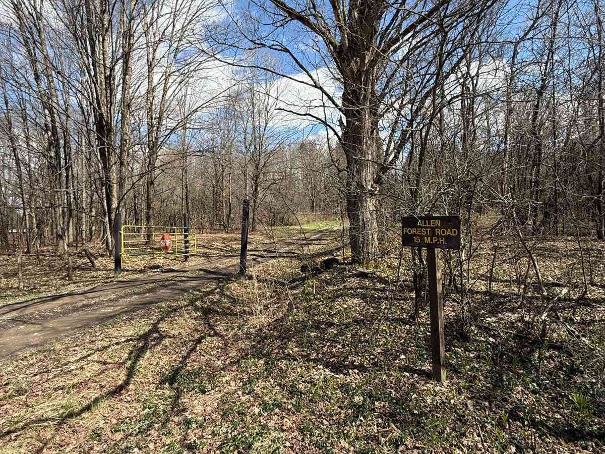 Vandermark Allen Forest Road | Off-Road Trail Maps, Difficulty, Trail ...