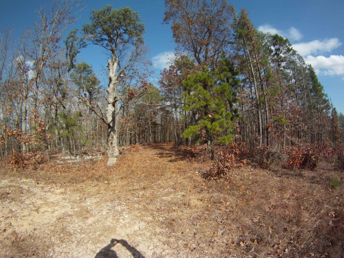 Allen Branch FS 4004 | Off-Road Trail Maps, Difficulty, Trail Status ...