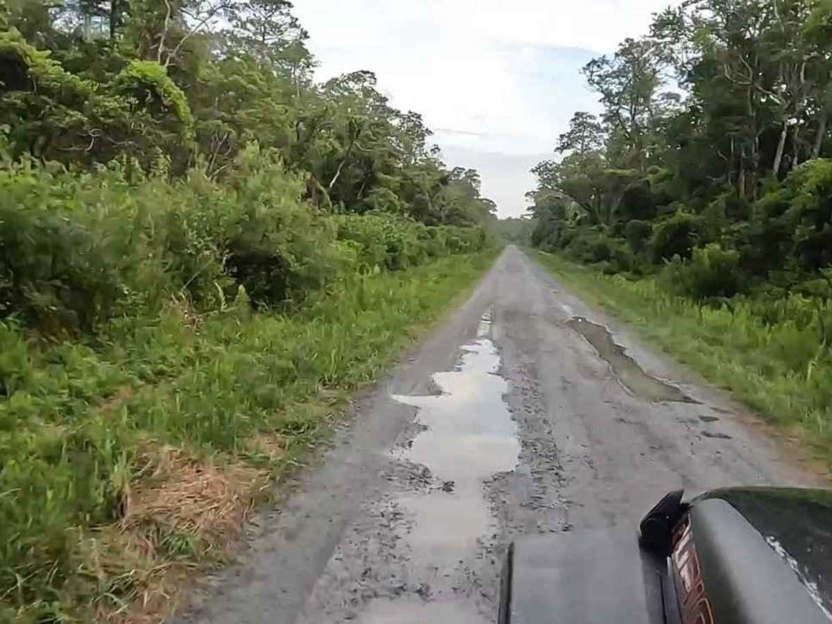 Alligator River National Wildlife Refuge | Off-Road Trail Maps ...
